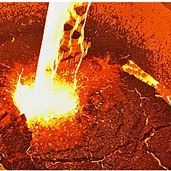 Feeding and surface treatment - CFC Egypt